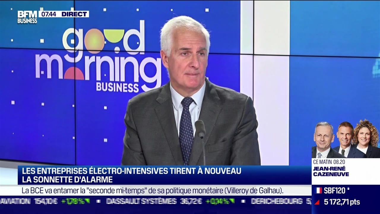 Nicolas de Warren (Uniden) : Énergie, comment les industriels se ...