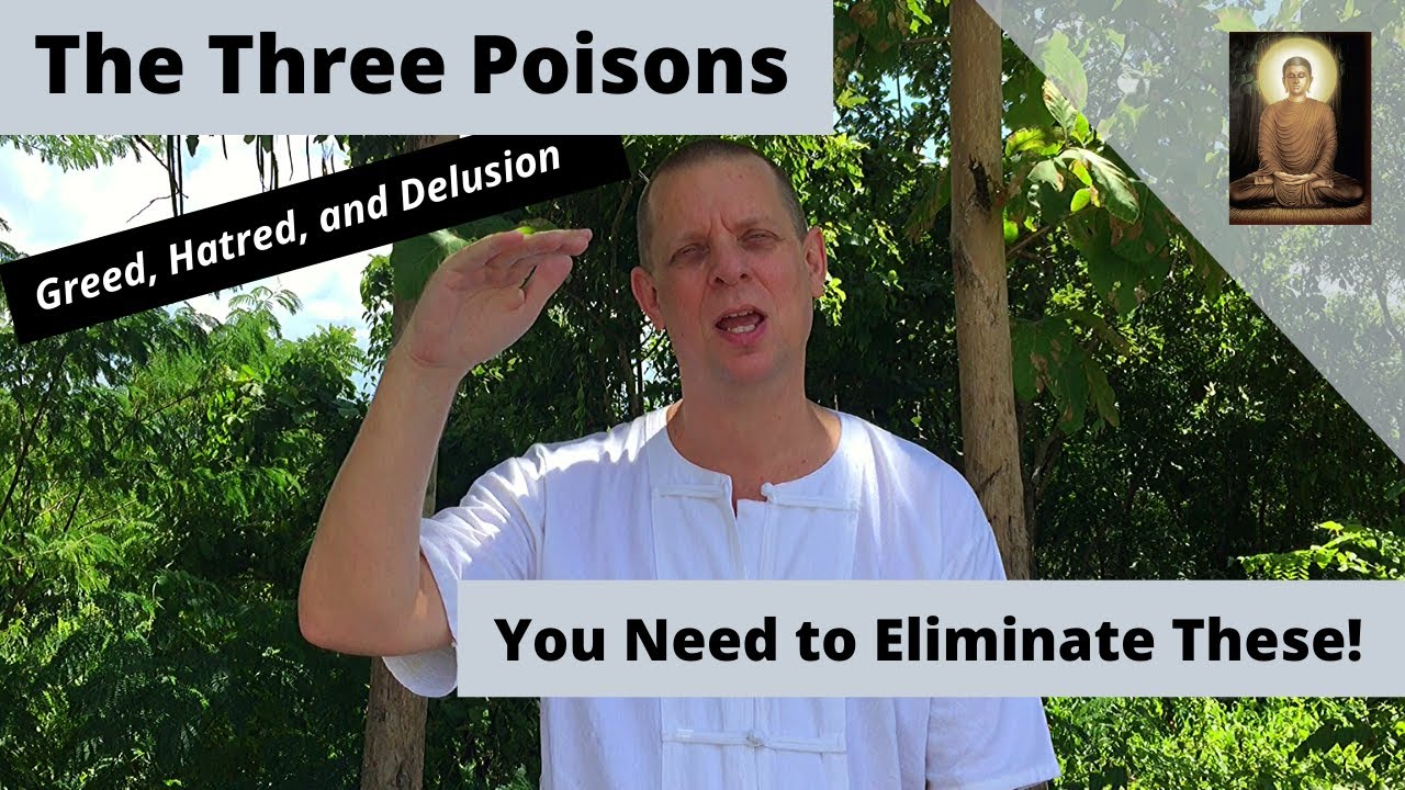 Transforming The Three Poisons: Greed, Hatred, and Delusion ...