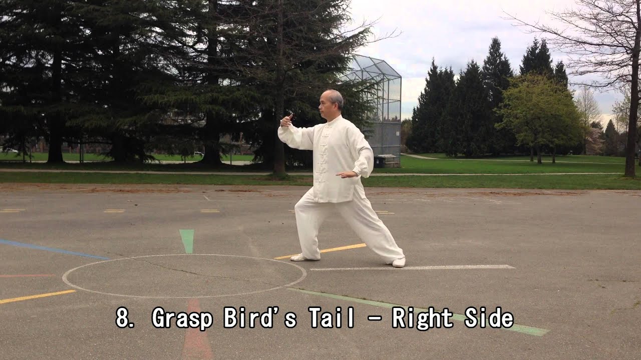 24 Form Tai Chi (Front View) (2015.03.27) - YouTube