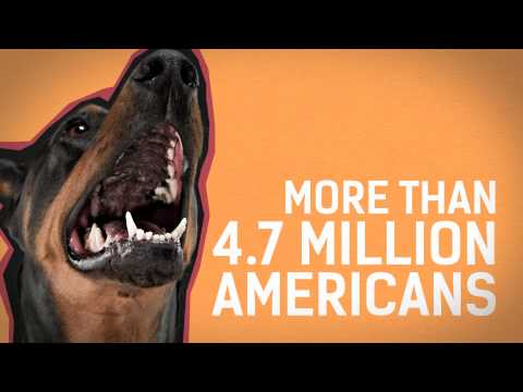 Understanding Dangerous Dog Insurance: What You Need to Know - Petful