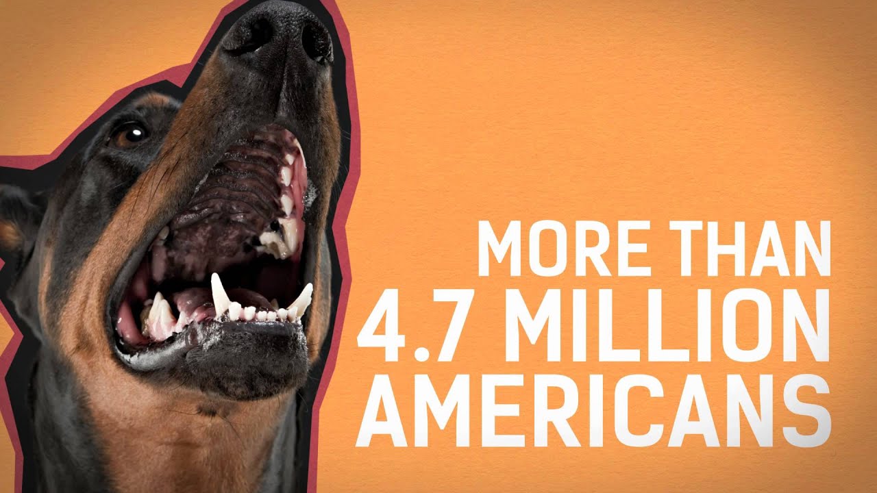 What Dogs Are Considered Dangerous By Insurance Companies