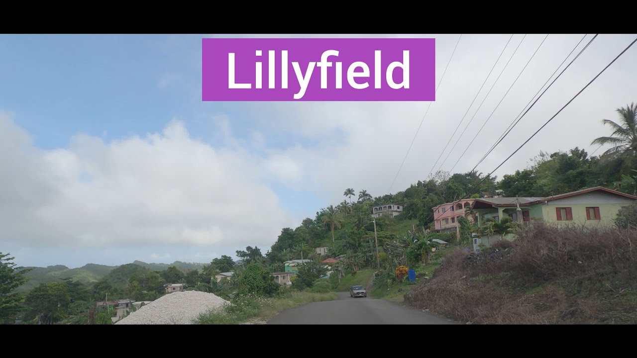Lillyfield, St Ann, Jamaica - YouTube