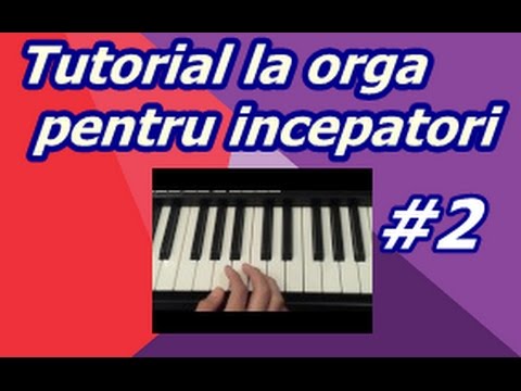 Tutorial la Orga! - YouTube