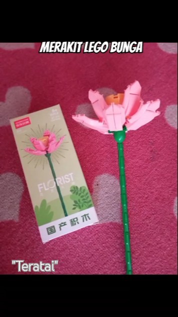 Koleksi lego bunga #diy #legoflowers #mainanviral #bungapink - YouTube