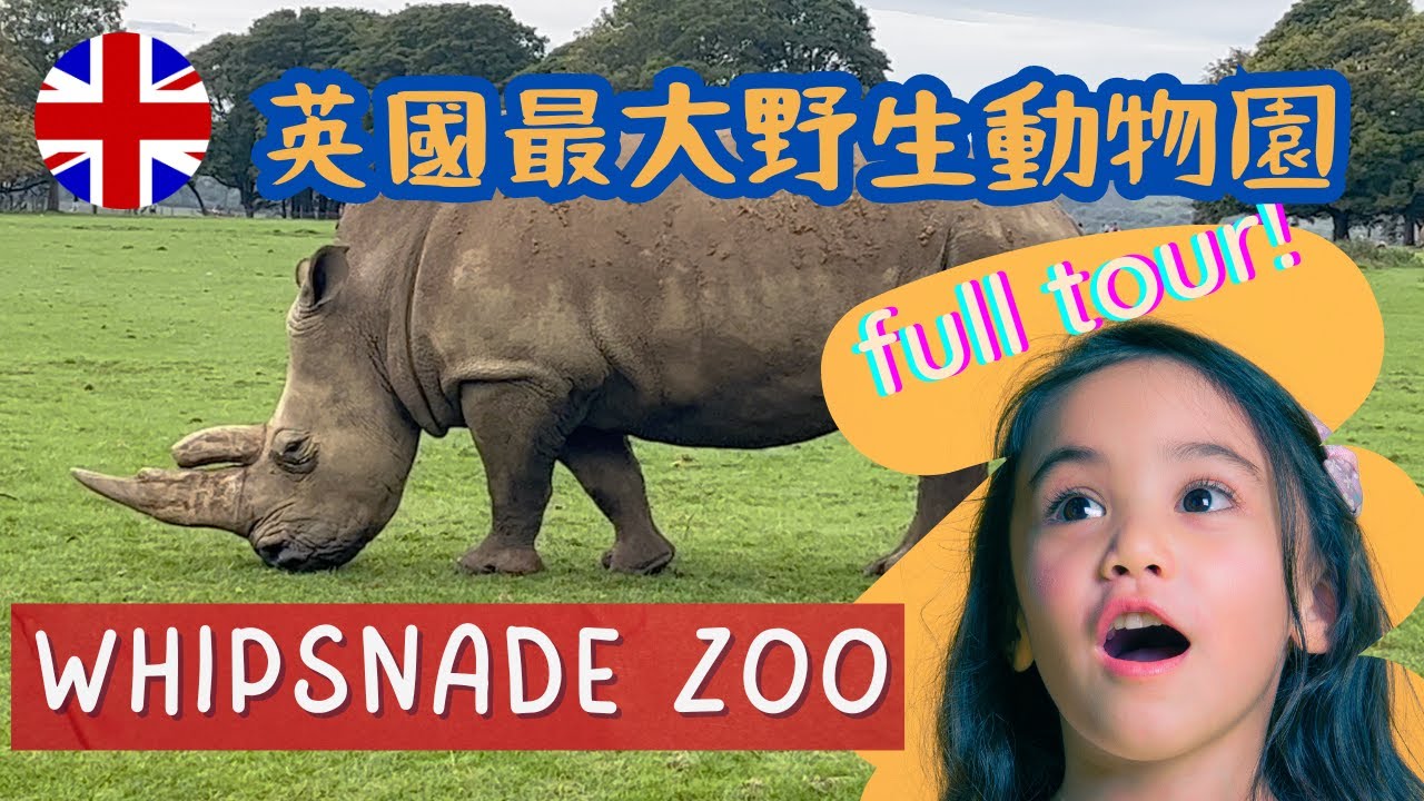 [UK Travel] WHIPSNADE ZOO 🦘 The UK's Biggest Zoo & Safari Park‼️英國周末好去處 ...
