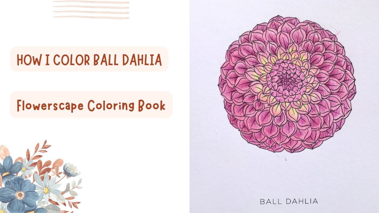 Adult Coloring | How I Color Ball Dahlia | Flowerscape Coloring Book ...