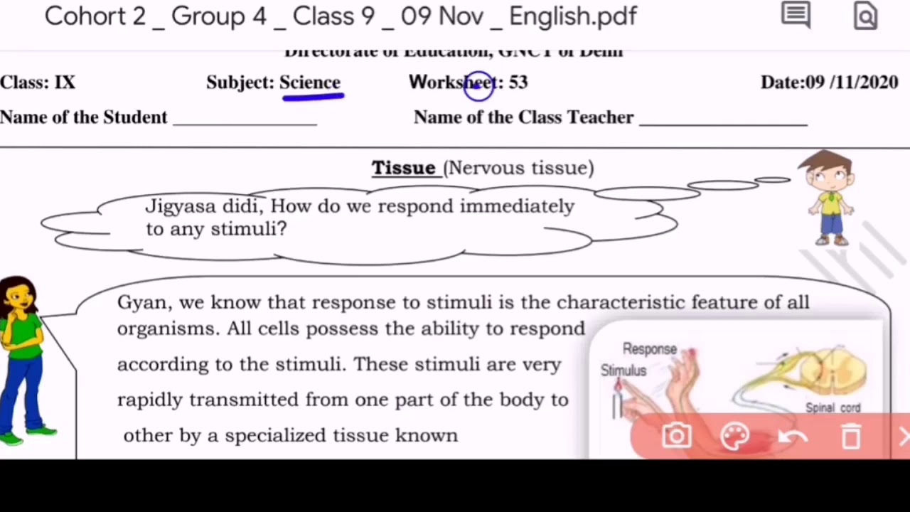 CLASS-9 Science worksheet-53 Date-09/11/2020 - YouTube