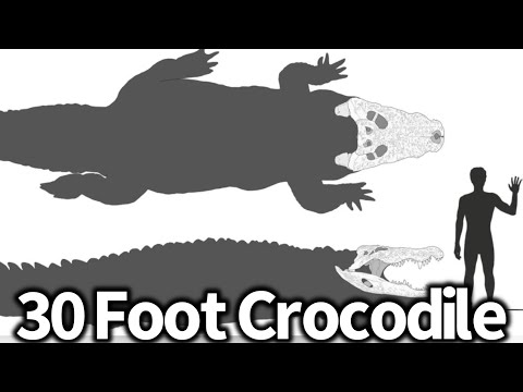 Skull Proves 30 Foot Crocodile Killed in India - YouTube