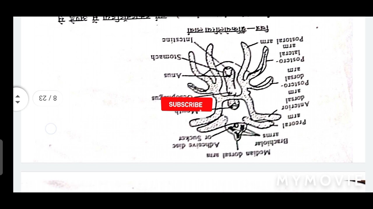 Bsc 1st Year Zoology Unit 5 Notes And Most Important Questions YouTube bsc-1st-year-zoology-unit-5-notes-and-most-important-questions-youtube