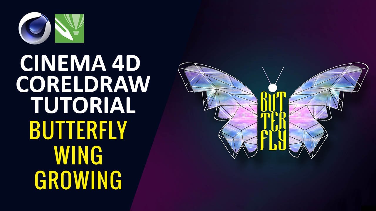 Butterfly Wing Growing - Cinema 4D and CorelDraw Tutorial - YouTube