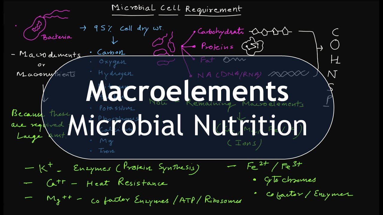 Macroelements | Macronutrients | Microbial Cell Requirements| Basic ...