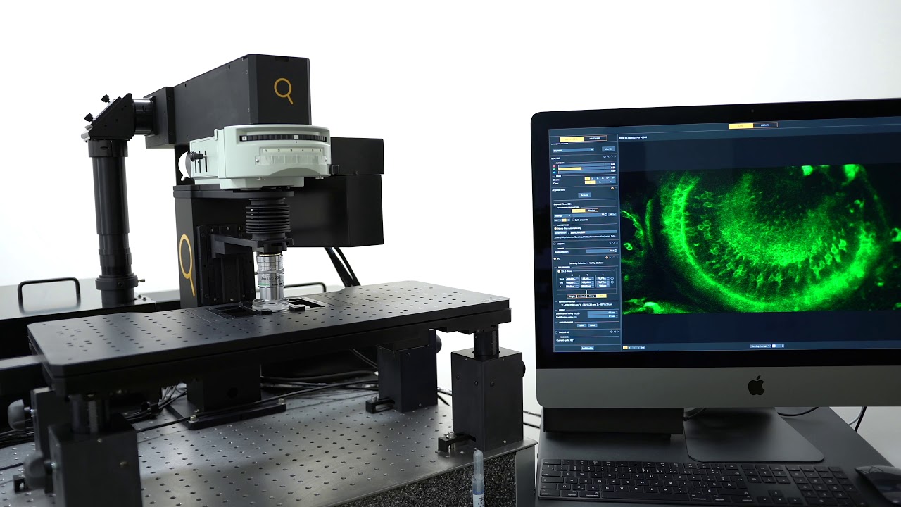 Multiphoton Video-rate Microscopy System - YouTube