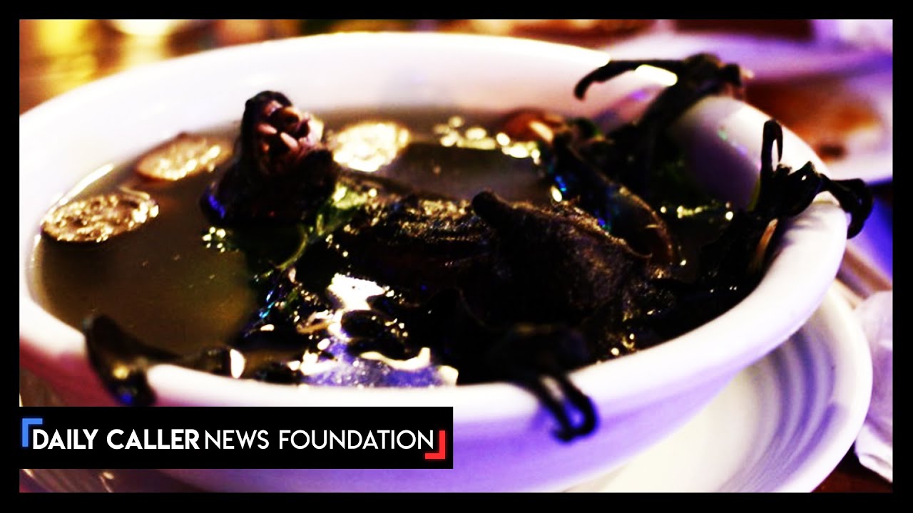 Wet Markets Selling Bats In America? - YouTube