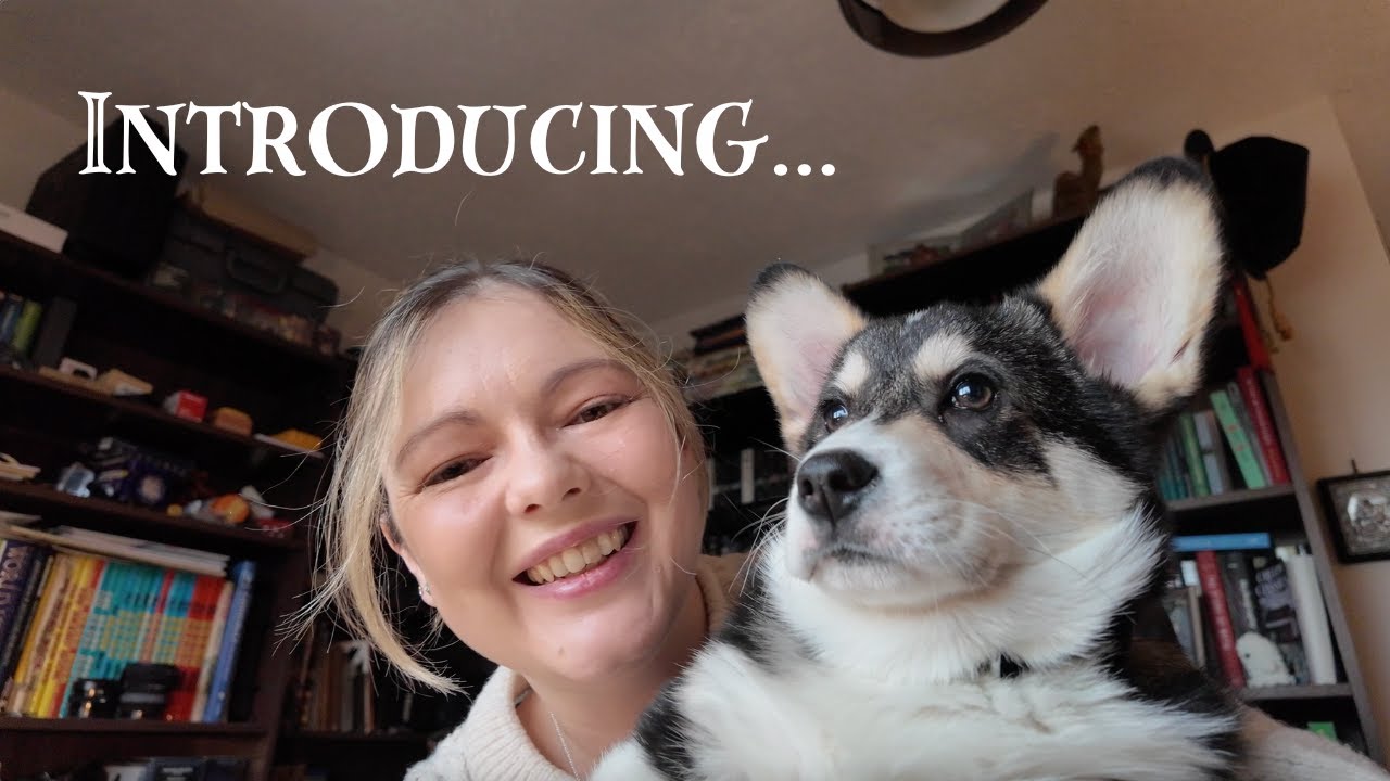 Introducing Loki :) - YouTube