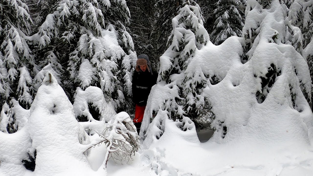 Exploring the Snowy Wonderland: A Winter Solo Camping Adventure - YouTube