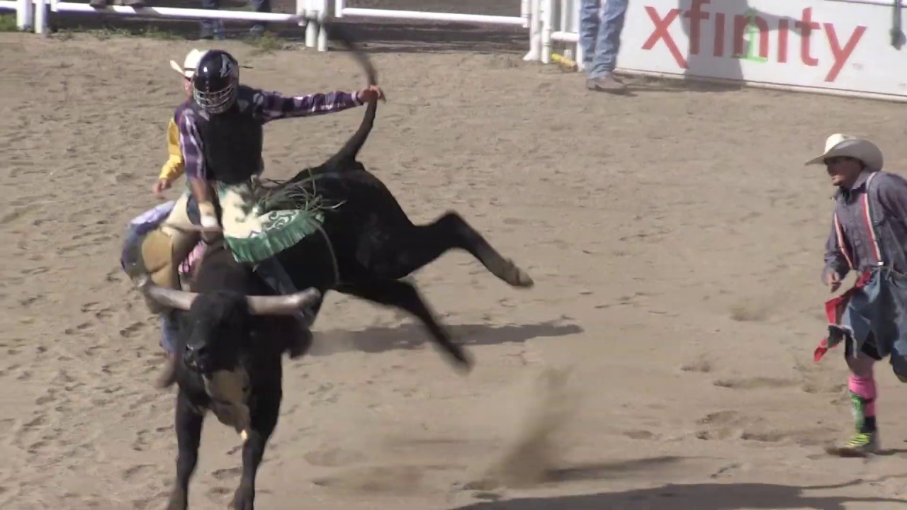 2019, Bull Riding, Rocky Mountain Regional Rodeo - YouTube
