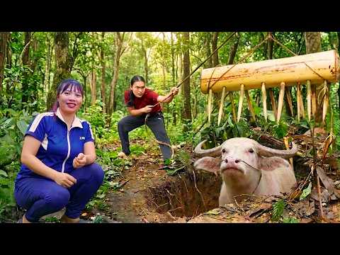 Following the Tracks of a Mutant Wild Buffalo – Trapping Deep in the Forest | Solo Survival