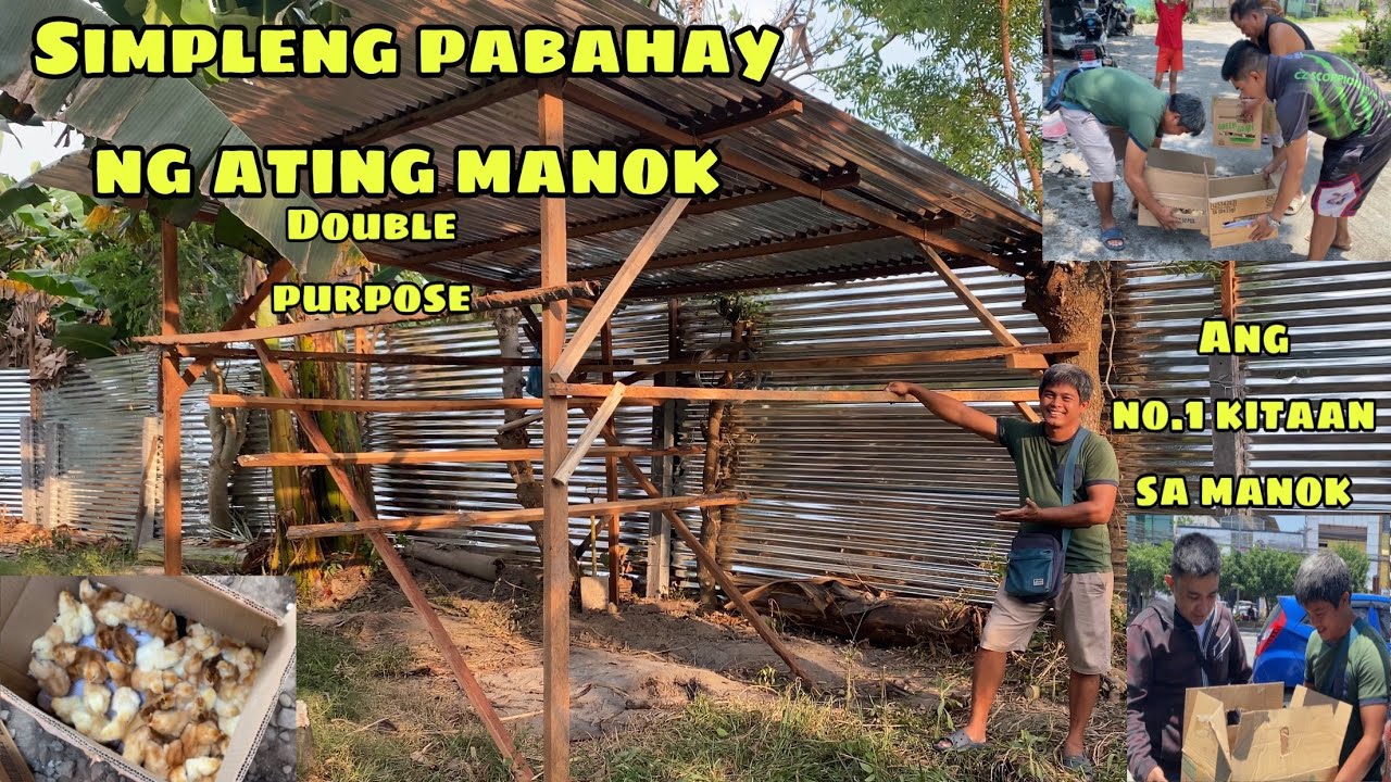 DOUBLE PURPOSE NA PABAHAY NG MANOK | ANG NO.1 KITAAN SA MANOK | ANG ...