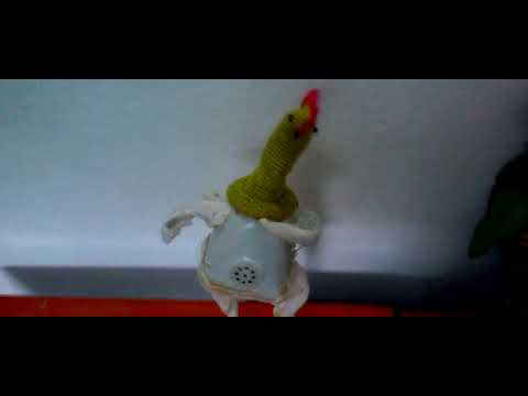 Frango Depenado Dançando Pop - YouTube