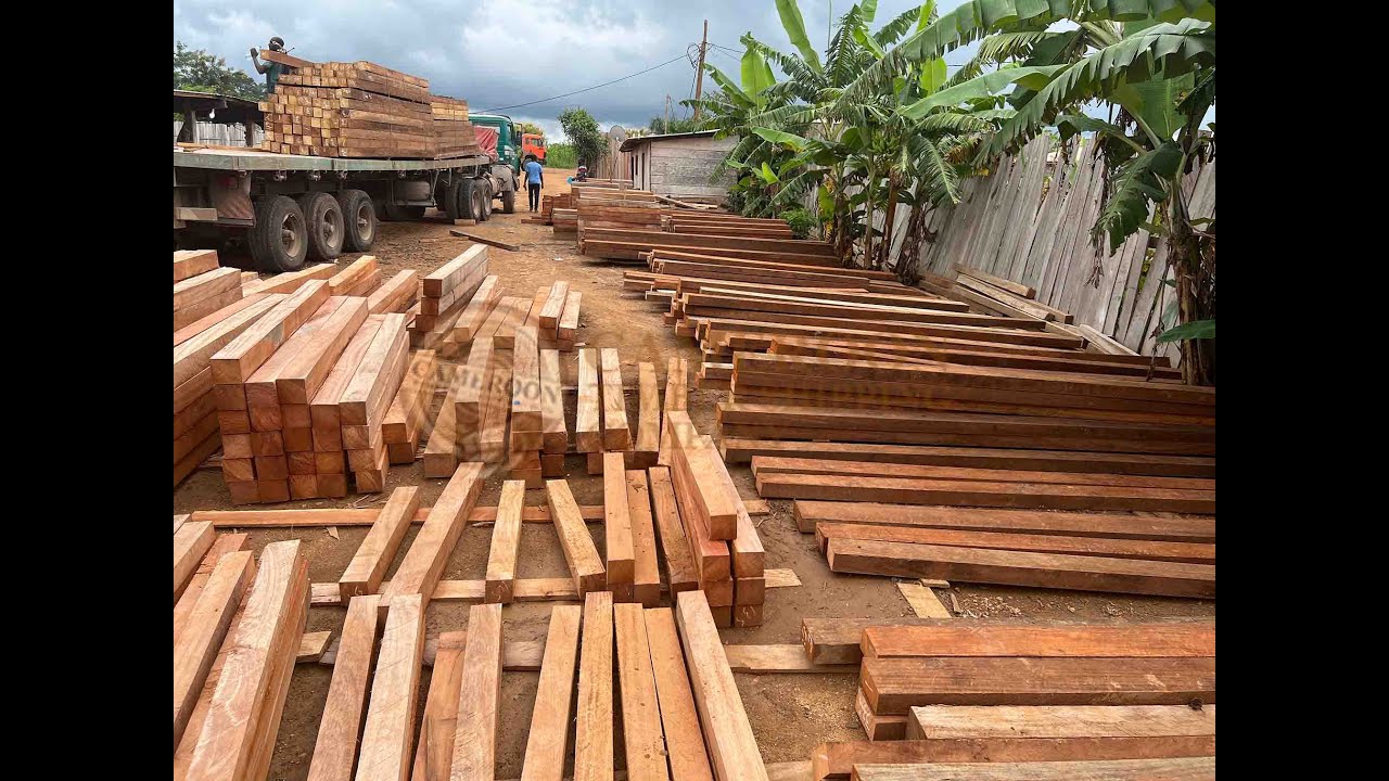 Most Trusted Cameroon Timber Shipping Company in Africa - YouTube