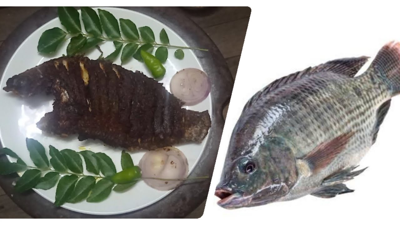 Jalebi Fish Fry/Crispy Fish Fry Recipe/Tilapia Fish Fry #recipe # ...