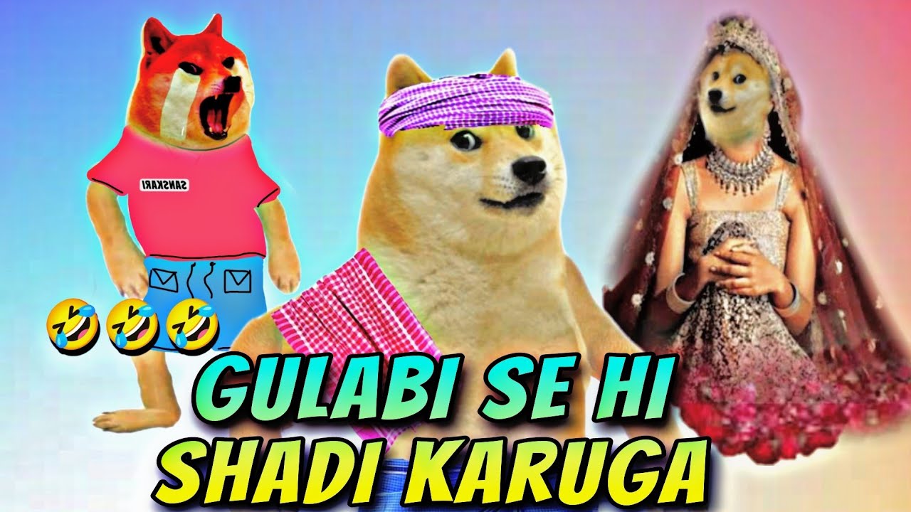 Dogesh ki shadi Gulabi se 🤣 || dogesh cheems #magadhidoge meme || Doge ...