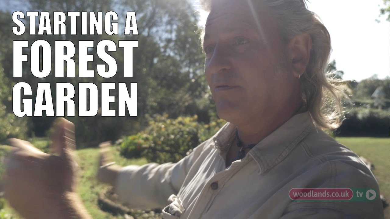 Starting a Forest Garden - YouTube