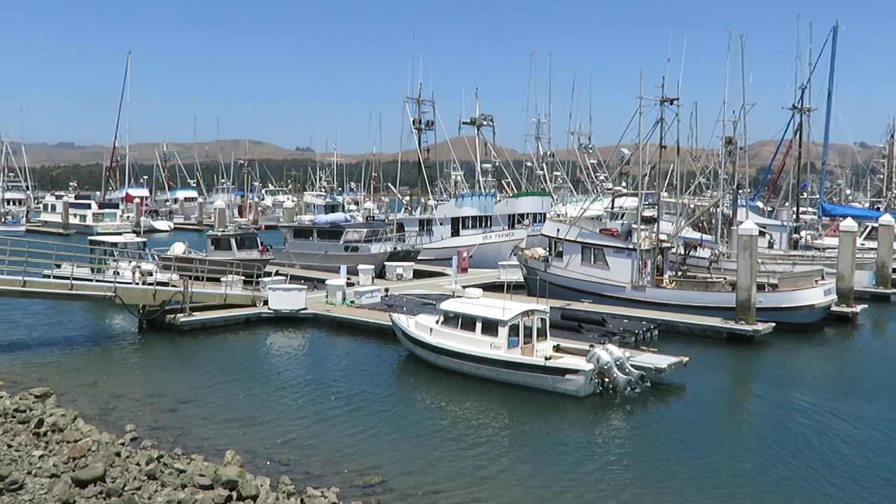 Spud Point Marina - Bodega Bay, California - YouTube