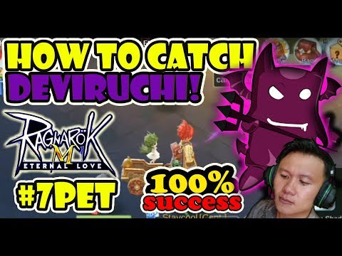 Deviruchi! How to Catch Deviruchi 100% Succcess! - Ragnarok Eternal ...