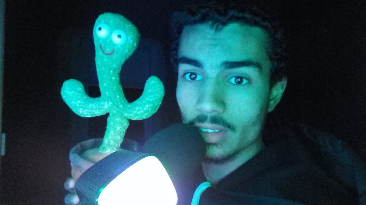 Beat Boxing Cactus || series - YouTube