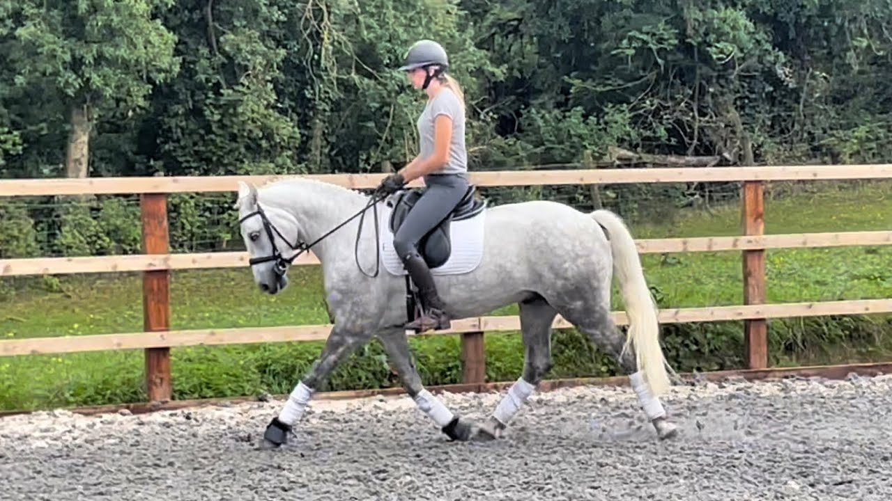 Goldie flatwork - YouTube