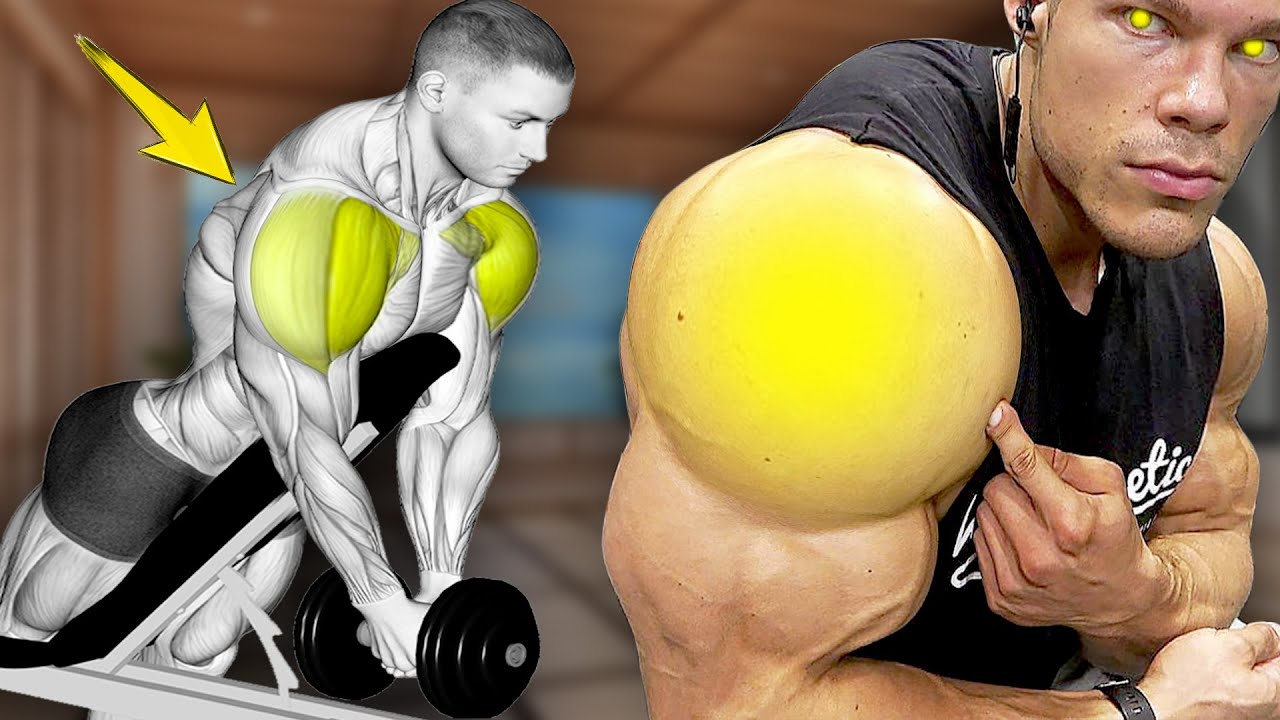 7 Science Based Shoulder Exercises For Size - YouTube