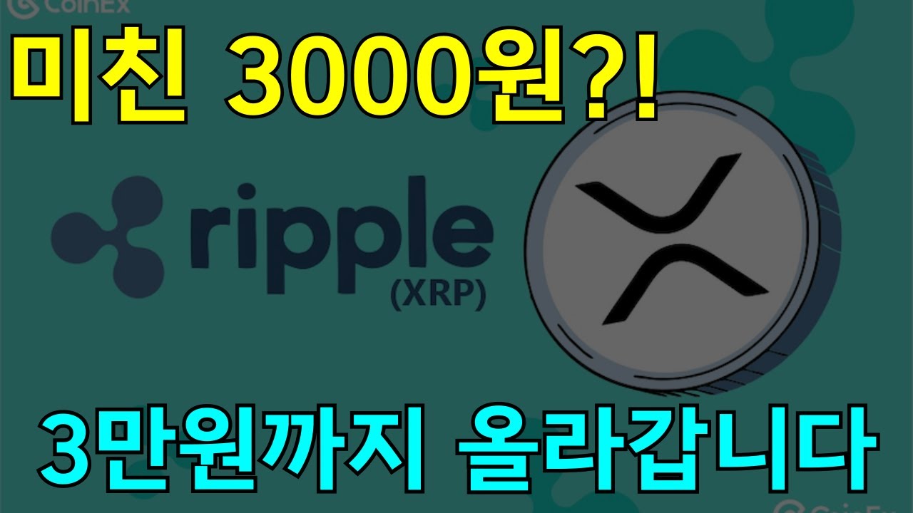 리플 Xrp 3000원 아뇨 3만원까지 올라갑니다 Xrp 리플 리플전망 리플분석 리플코인 리플차트