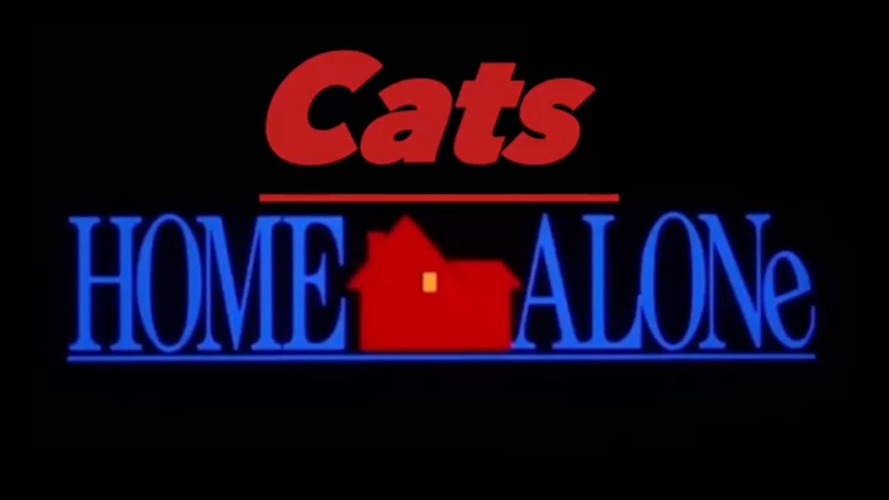 Cats Home Alone - YouTube