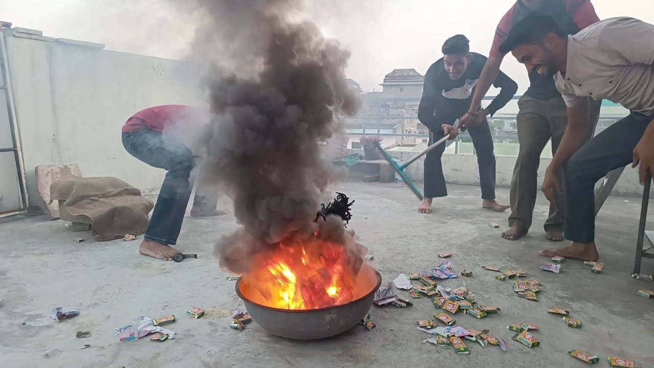 "1000 Snake Bomb Boxes At Once – पूरा घर की छत भर गई साँपों से 😂 Snake ...