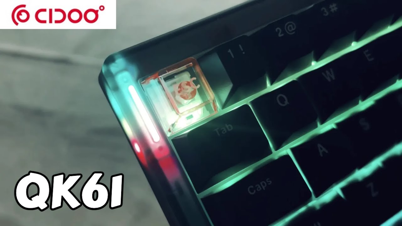 CIDOO QK61 기계식키보드 리뷰 | 60%배열의 compact 하지만 perfect한 LED맛집 타건맛집 키보드 | Cidoo WhitePearl switch ...