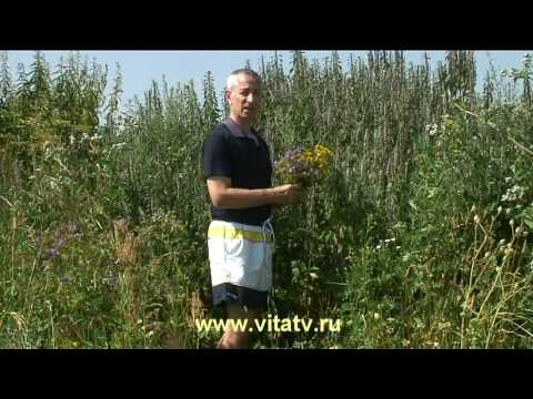Снижение АД - YouTube