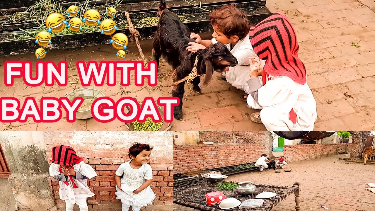 bacho'n ny aj baby goat k saath boht fun kia 😍😂 🤣 | Ramadan Routine ...