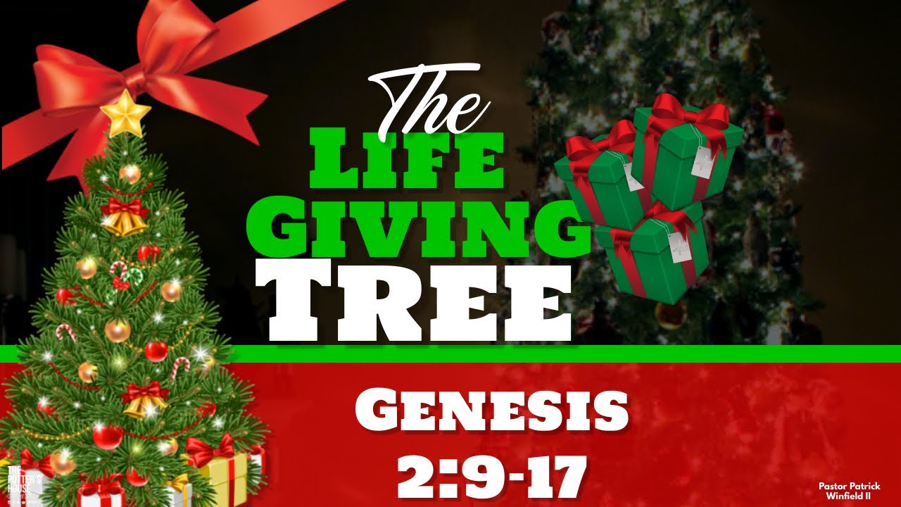 Christmas Service: The Life Giving Tree - YouTube