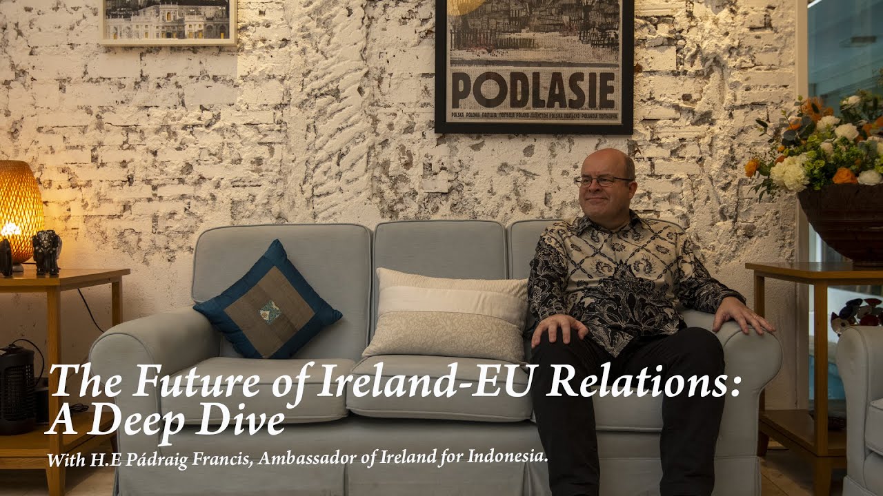 The Future of Ireland-EU Relations: A Deep Dive - YouTube
