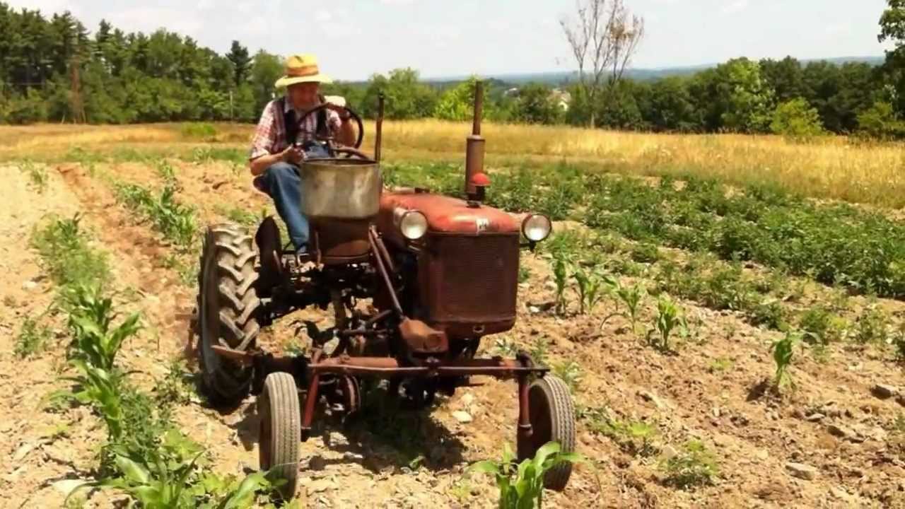 Farmall Cub 1948 - Cultivating Corn - YouTube