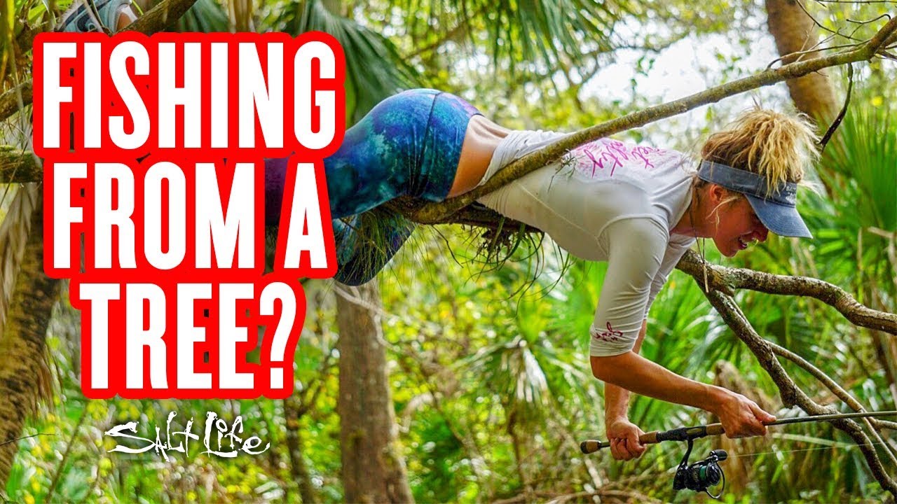Catching Fish From a Tree | Salt Life - YouTube