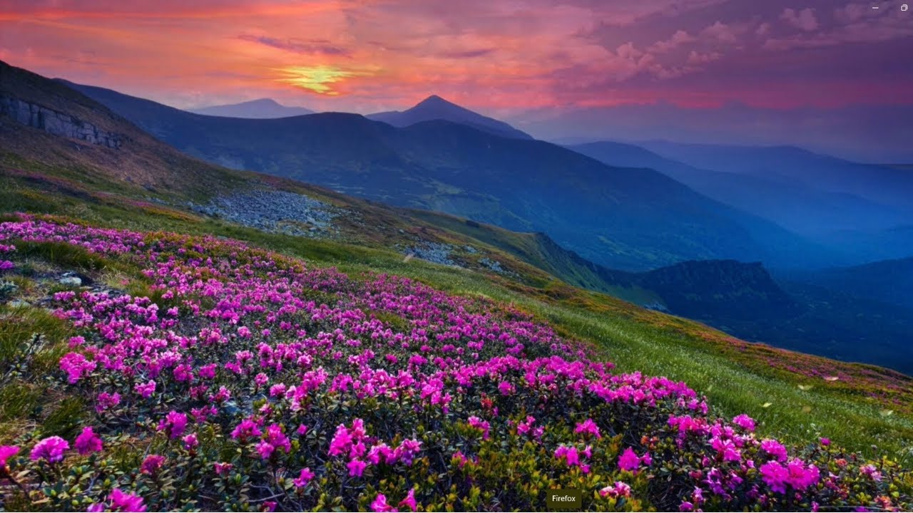 HO'OPONOPONO con Maurício Duboc, 1 ora di musica - YouTube