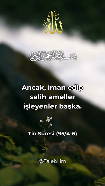 Tîn Sûresi (95/4-6) - YouTube