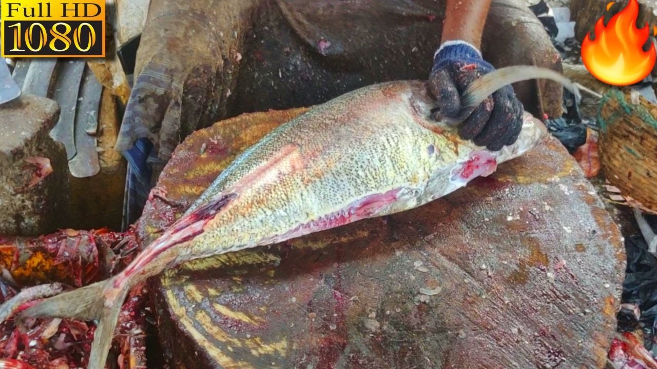 KASIMEDU FISH CUTTING💥| PAARAI FISH CUTTING🐟 | FISH CUTTING SKILL ...