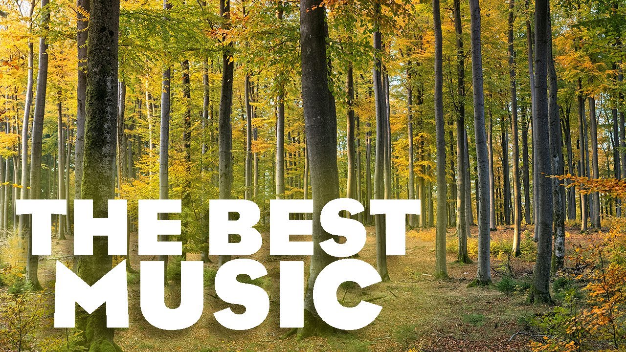 THE BEST INSTRUMENTAL MUSIC FOR RELAX AND INSPIRATION - YouTube