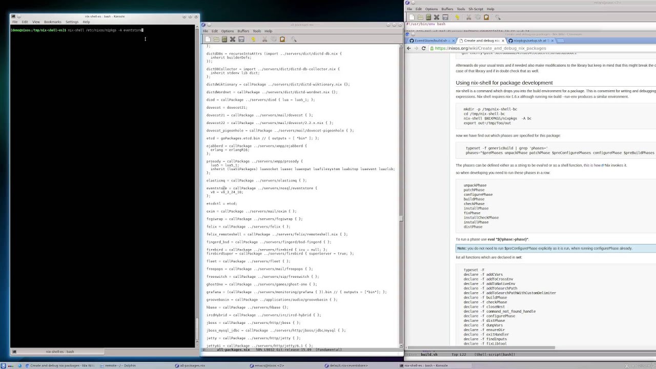 Practical use of NixOS/nixpkgs - part1 - big screens version - how ...