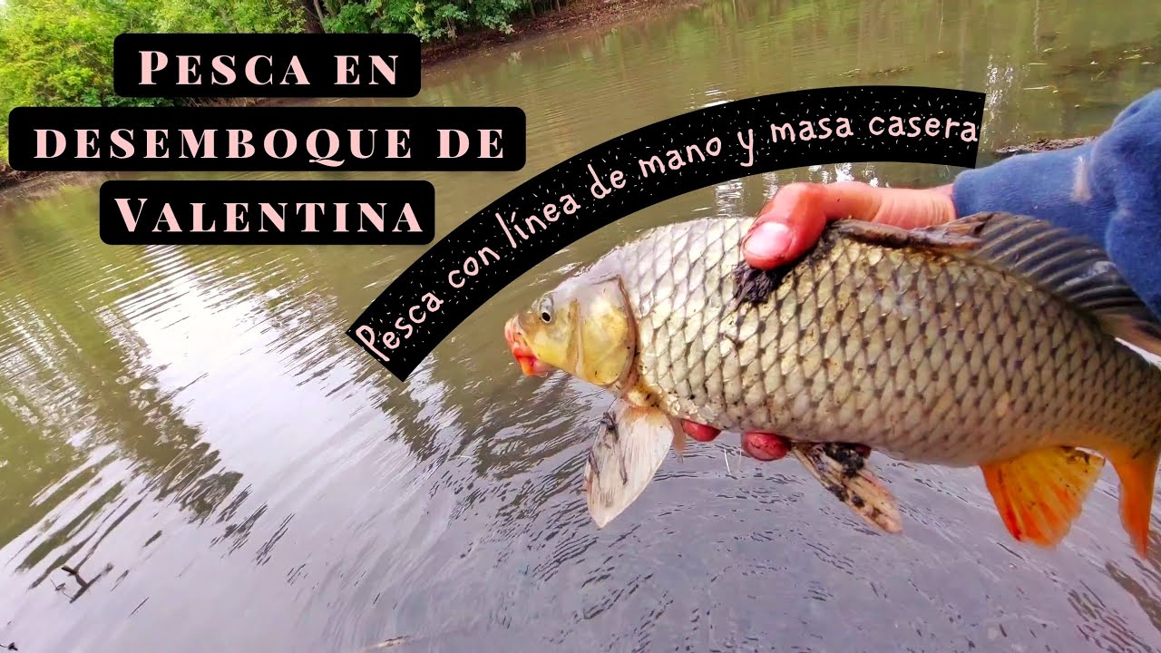 Pesca con LINEA DE MANO fácil y MASA para Carpas casera | Carpfishing ...