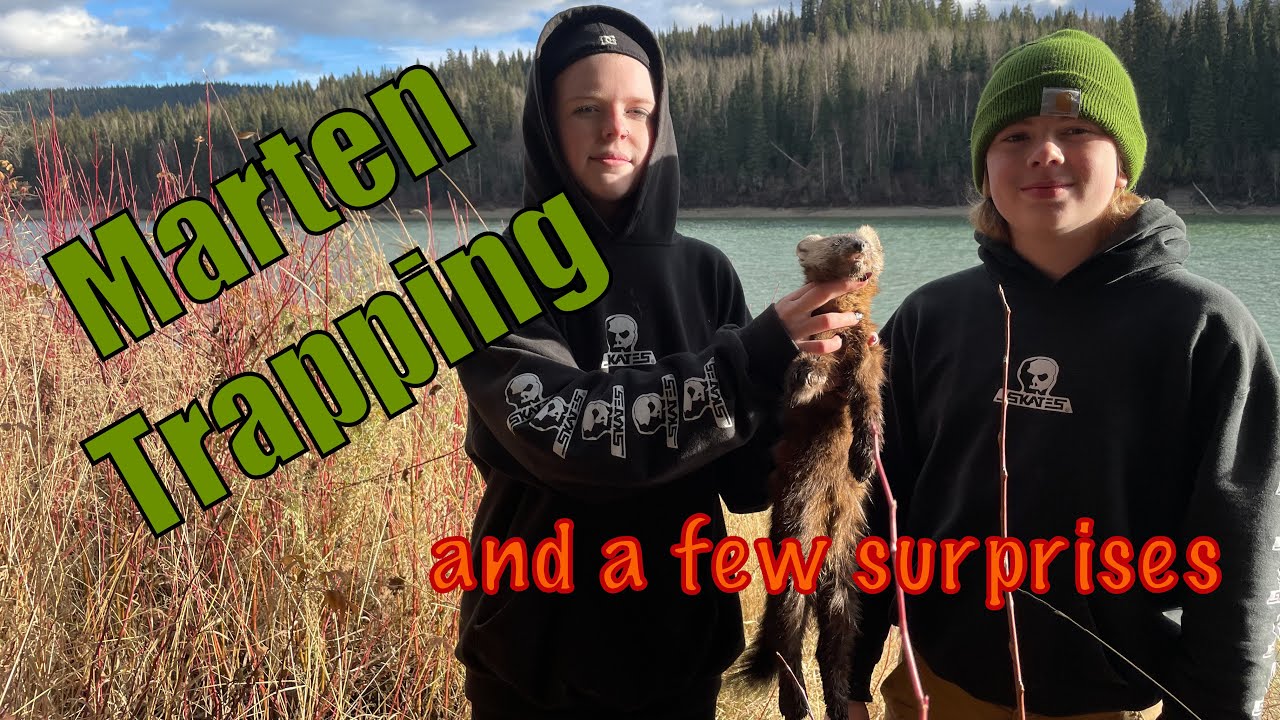 Marten Trapping: 120 Conibears in Action Catching Multiple Species # ...