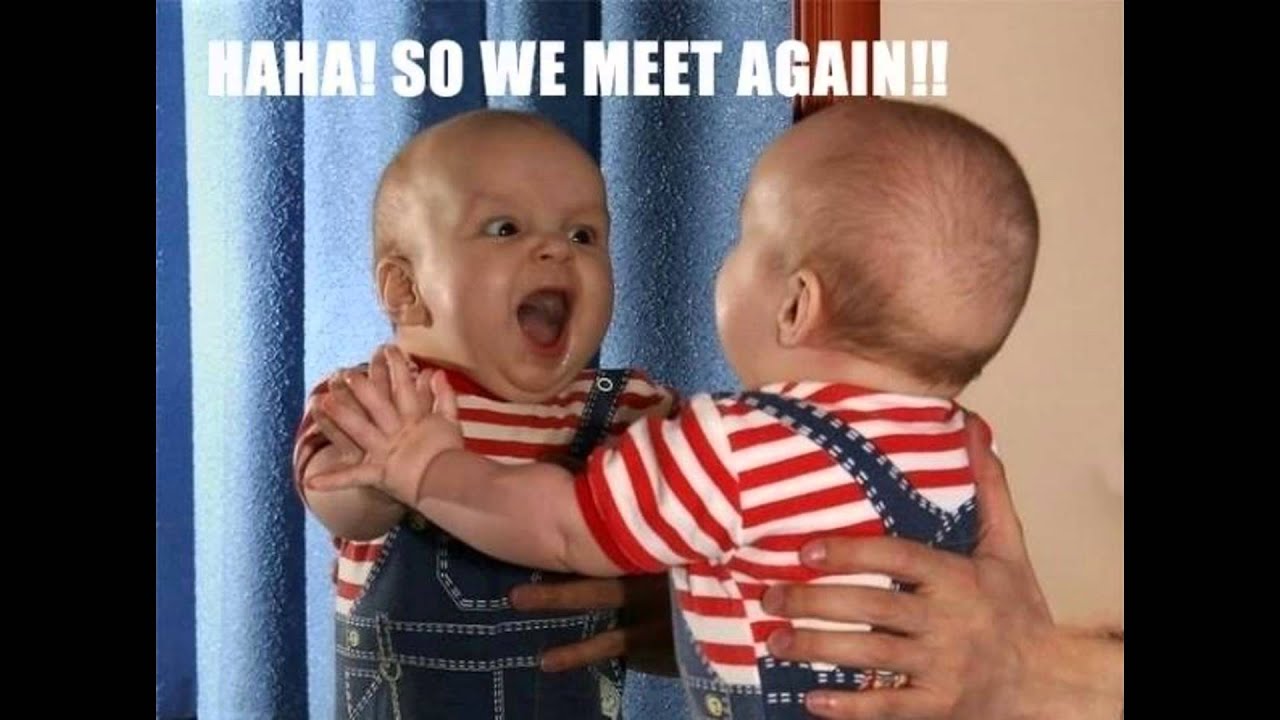 Baby memes (memes not owned by me) - YouTube